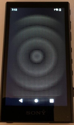 Sony Nw-a306 Walkman A Series Hi-res Digital Music Player With Wifi ...