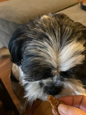 Rachael Ray Nutrish Savory Roasters Grain Free Chewy Chicken Dog Treats ...