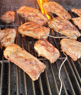 Thermopro Tp07sw Remote Meat Thermometer Digital Grill Smoker Bbq ...