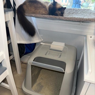 Enclosed Cat Litter Box - Xl - Up&up™ : Target