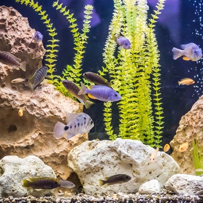 Unique Bargains Ceramic Aquarium Fish Tank Decoration Hideaway Rock ...
