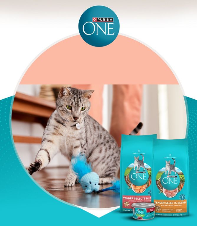 Purina ONE : Target