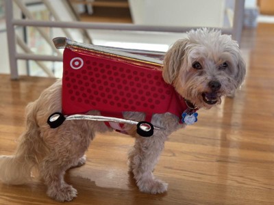 Halloween Target Shopping Cart Dog And Cat Full Body Costume - Hyde ...