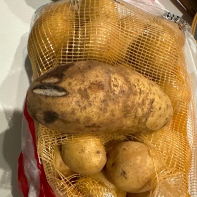 Golden Potatoes - 5lb - Good & Gather™ : Target