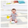 Skip Hop Explore & More Follow-bee Crawl Toy : Target