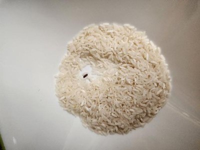 Enriched Long Grain White Rice - 32oz - Good & Gather™ : Target