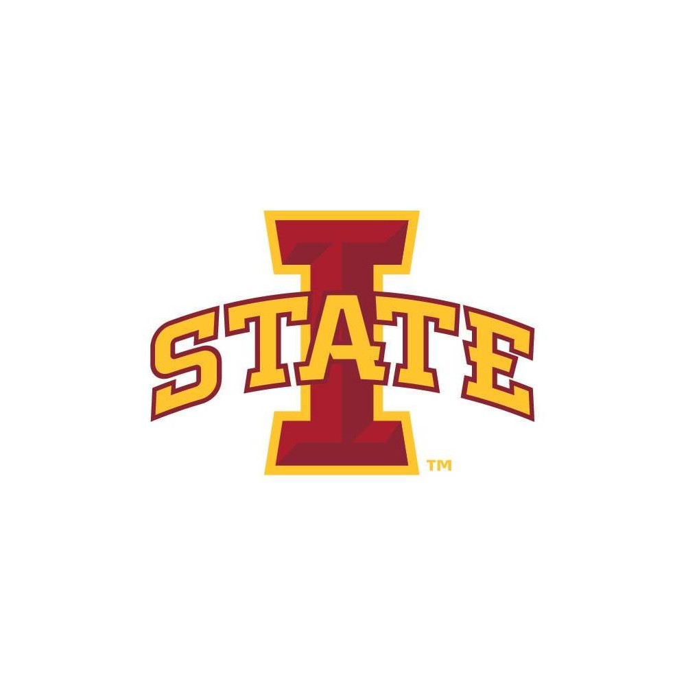 UPC 843204133446 - NCAA Iowa State Cyclones Large Logo Ground Graphic ...