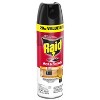 Raid Ant And Roach Killer Bug Spray - Unscented - 20oz/2ct : Target