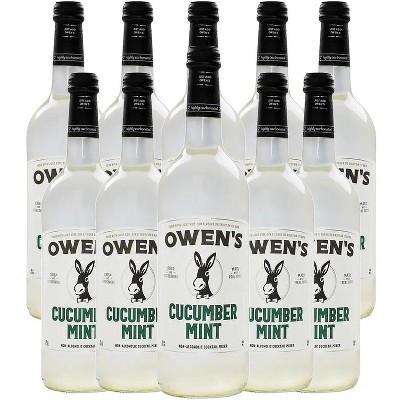 Owen’s Craft Mixers Cucumber Mint 10 Pack Handcrafted In The Usa With ...