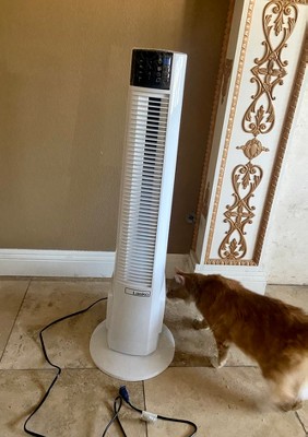 Lasko Desktop Oscillating Tower Fan : Target
