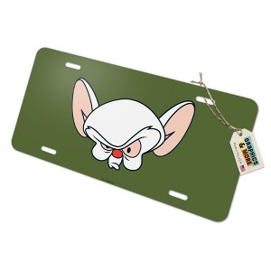 The Brain Head Novelty Metal Vanity Tag License Plate : Target