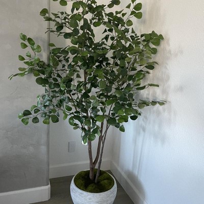 72" Artificial Ficus Tree - Threshold™ Designed With Studio Mcgee : Target