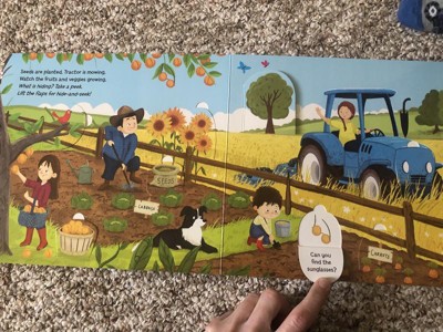 Hide-and-seek On The Farm - (highlights Lift-the-flap Books) (board ...