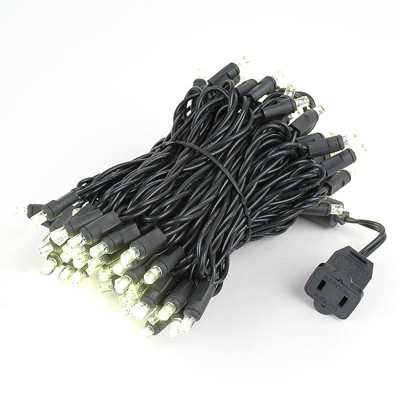 Novelty Lights Warm White 100 Led Christmas Mini Light Set (black Wire ...
