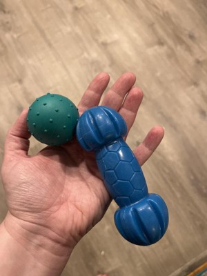 Rocket & Rex Chew Dog Ball Plush Toy Set - 6pk : Target