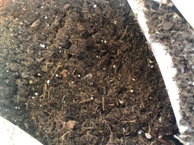 Miracle-gro Premium Potting Mix : Target