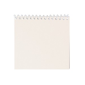 Paper Frenzy Ivory 12 pack Mini Note Pad Favors : Target