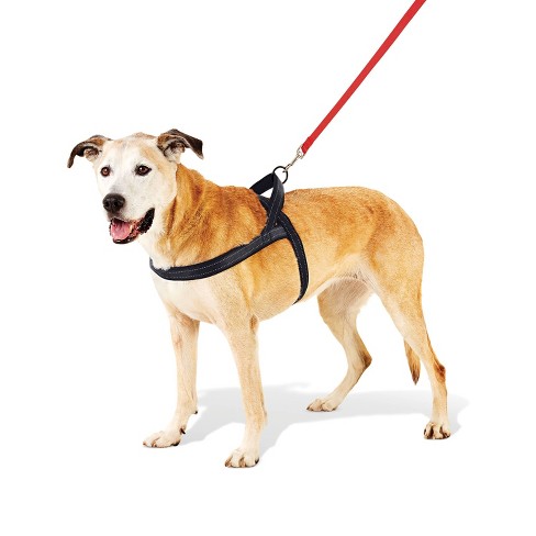 No Pull Comfort Dog Harness - Xl - Boots & Barkley™ : Target