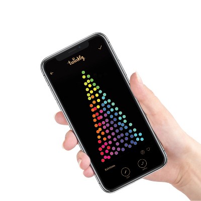 Home Heritage Luminations Christmas Holiday Party Lights, Twinkly Smart ...