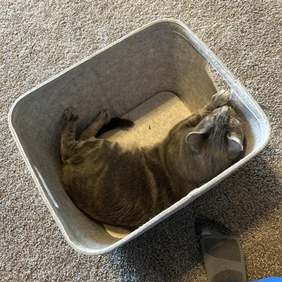 14" X 15" Large Felt Basket With Stitching Oatmeal - Brightroom™ : Target