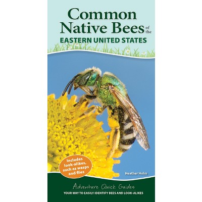 Common Native Bees Of The Eastern United States - (adventure Quick ...