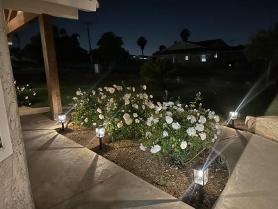 6pk Window Lantern Solar Led Outdoor Path Lights Matte Black ...