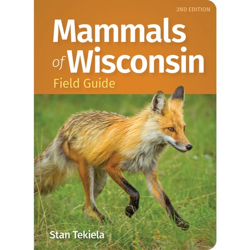Mammals Of Wisconsin Field Guide - (mammal Identification Guides) 2nd ...