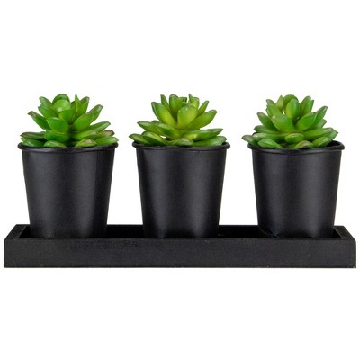 Northlight Mini Artificial Potted Succulents with Wood Planter - 5 ...