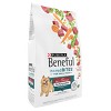 Purina Beneful Incredibites Small Bite Real Beef Flavor Dry Dog Food ...