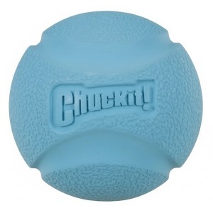 Chuck It Fetch Ball - High-Bounce Durable Rubber Dog Toy, Launcher ...