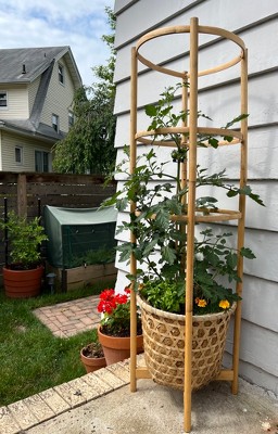 Gardener's Supply Company Elevated Bamboo Tomato Planter And Trellis ...