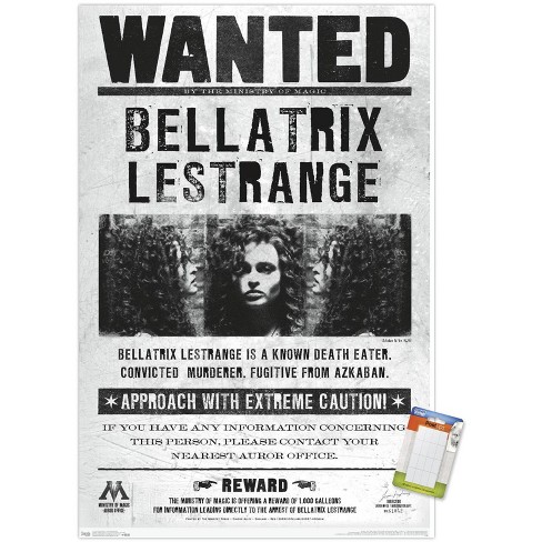 Harry Potter Sirius Black Wanted Poster