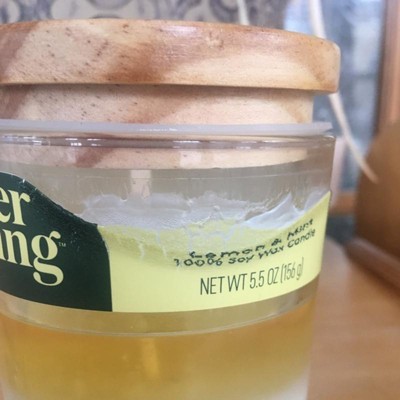 Lemon & Mint 100% Soy Wax Candle - Everspring™ : Target