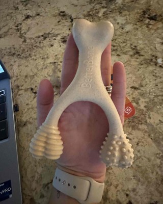 Betterbone Hard Classic Nylon Free Dog Bone Chew Toy - S : Target