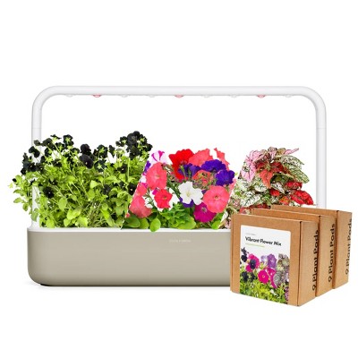 Garden Republic Bonsai Starter Kit In Wooden Giftbox : Target