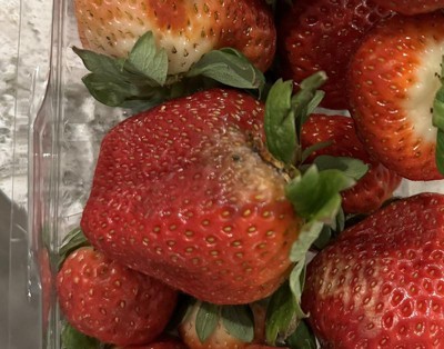 Organic Strawberries - 16oz : Target