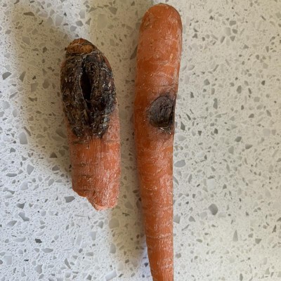 Organic Carrots - 1lb - Good & Gather™ : Target