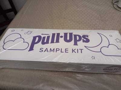 Pull-ups Girls' Potty Training Pants - 2t-3t - 23ct : Target