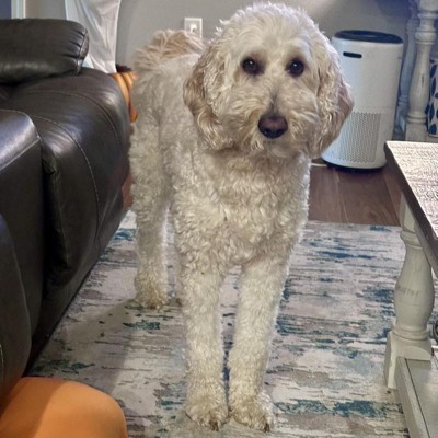 Freshpet Select Roll Tender Chicken And Vegetable Recipe Refrigerated ...