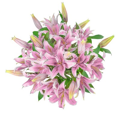 Fresh Cut Pink Roses - 50 Stems : Target