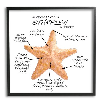 Stupell Industries Anatomy Of Starfish Sea Life Wildlife Educational ...