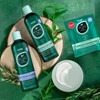 Hask Scalp Treatment Hair Mask Infused With Tea Tree & Rosemary Oil - 1 ...