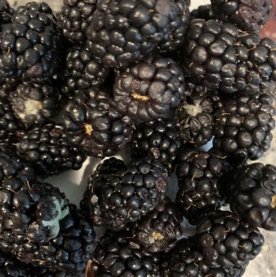 Organic Blackberries - 6oz : Target