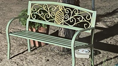 Evergreen Pineapple Metal Garden Bench - Verdigris : Target
