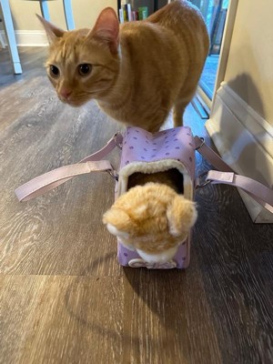 Our Generation Hop In Cat Carrier & Pet Plush Kitten Accessory Set For ...