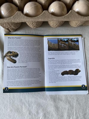 National Geographic Dinosaur Egg Dig Kits - 12 Dino Egg-shaped Dig ...