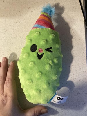 Bark Party Pickle Phil Dog Toy : Target