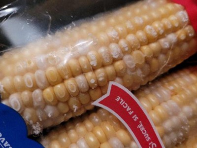 Sweet Corn - 18oz/4ct - Good & Gather™ : Target