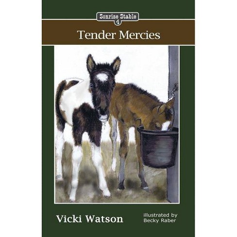 Sonrise Stable - By Vicki Watson (paperback) : Target