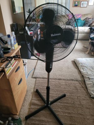 Holmes 16" Oscillating 3 Speed Manual Stand Fan Black : Target
